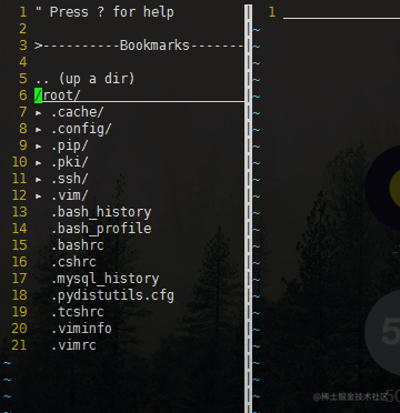 vim插件 NERDTree安装使用 - 掘金