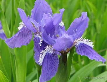 Here's a quick example to get started with the machine learning ...