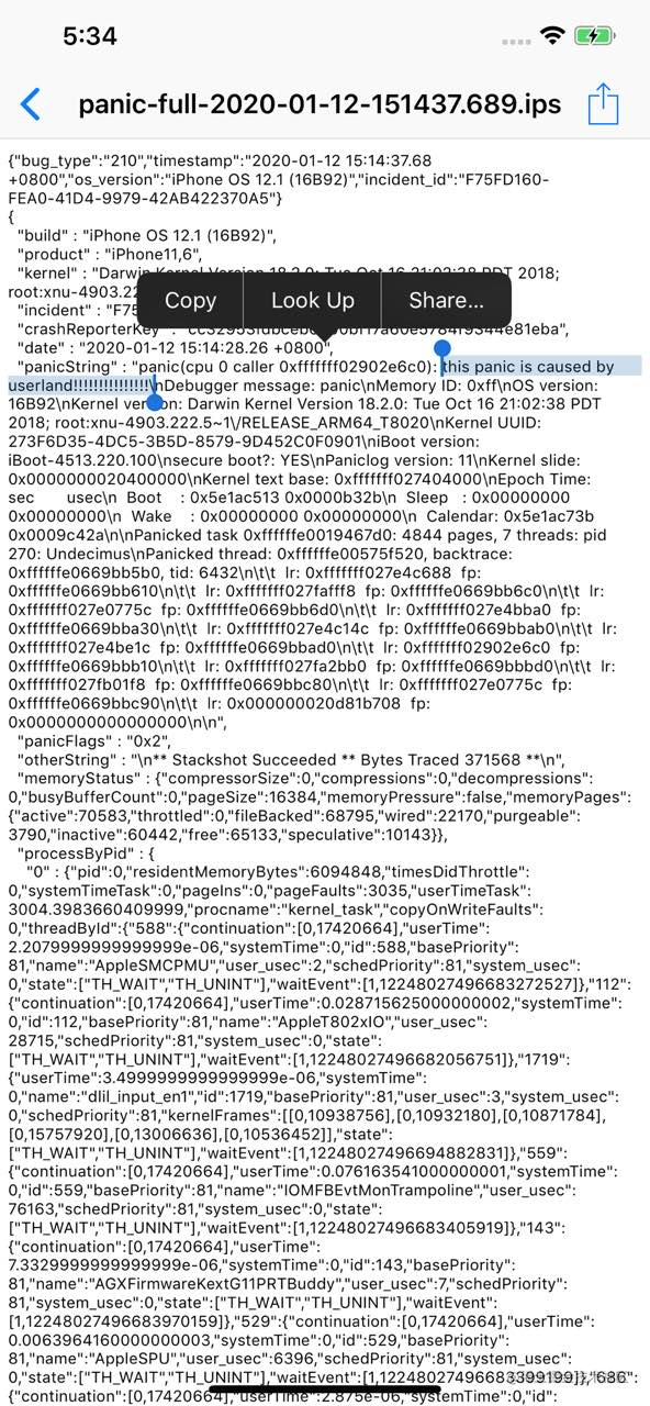 Implement Arbitrary Code Execution Through Iotrap Moment For Technology