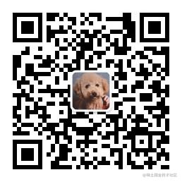 Do you meet the basic qualities of a good programmer? - Moment For ...