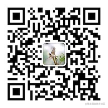 Garbage Collector for THE JVM series (Part 1) - How G1 works and how to ...