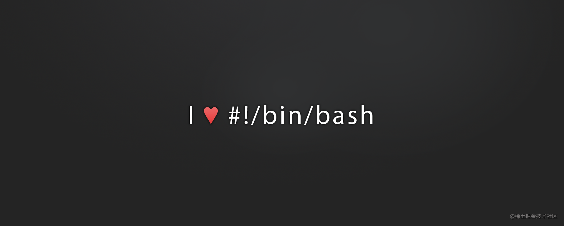 fish-vs-zsh-vs-bash-fish