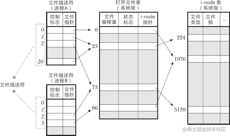 How Does The Deno Tcp Echo Server Work The First Phase Of The Essay 🏆 Technology Projects 